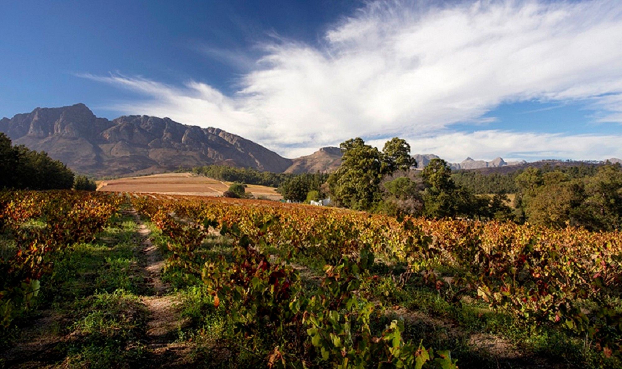 A new dawn for Wellington wine farm