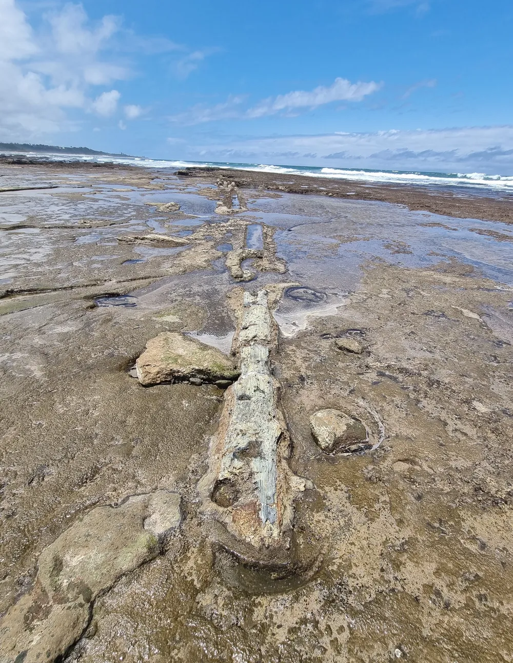 Take a stroll through the Petrified Forest