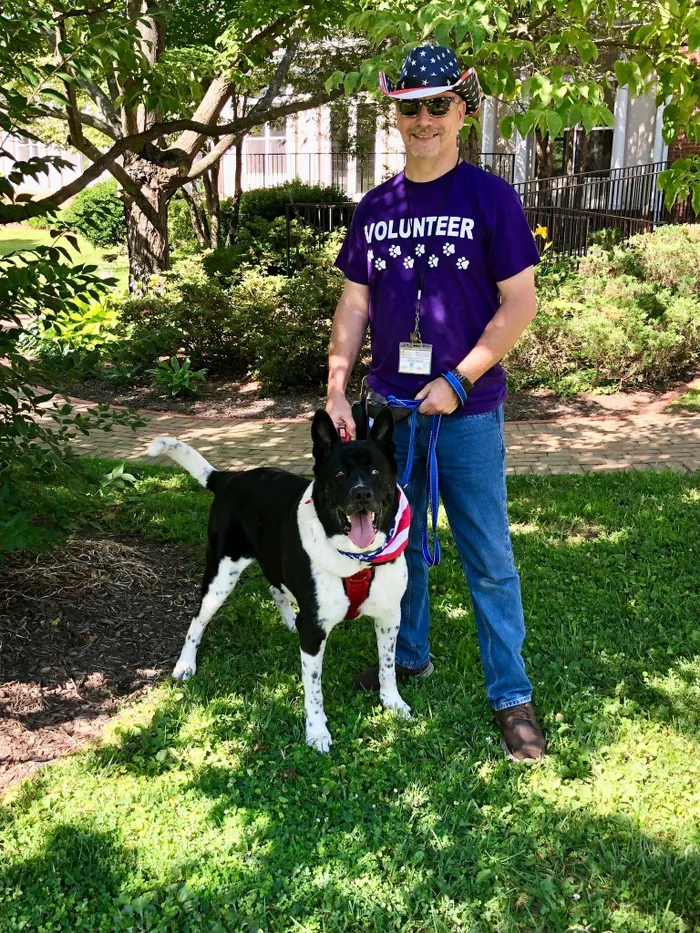 How one man's holiday routine helps Rescue Dogs