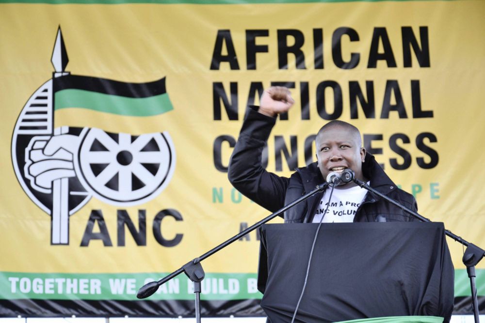 Protector to probe firm linked to Malema