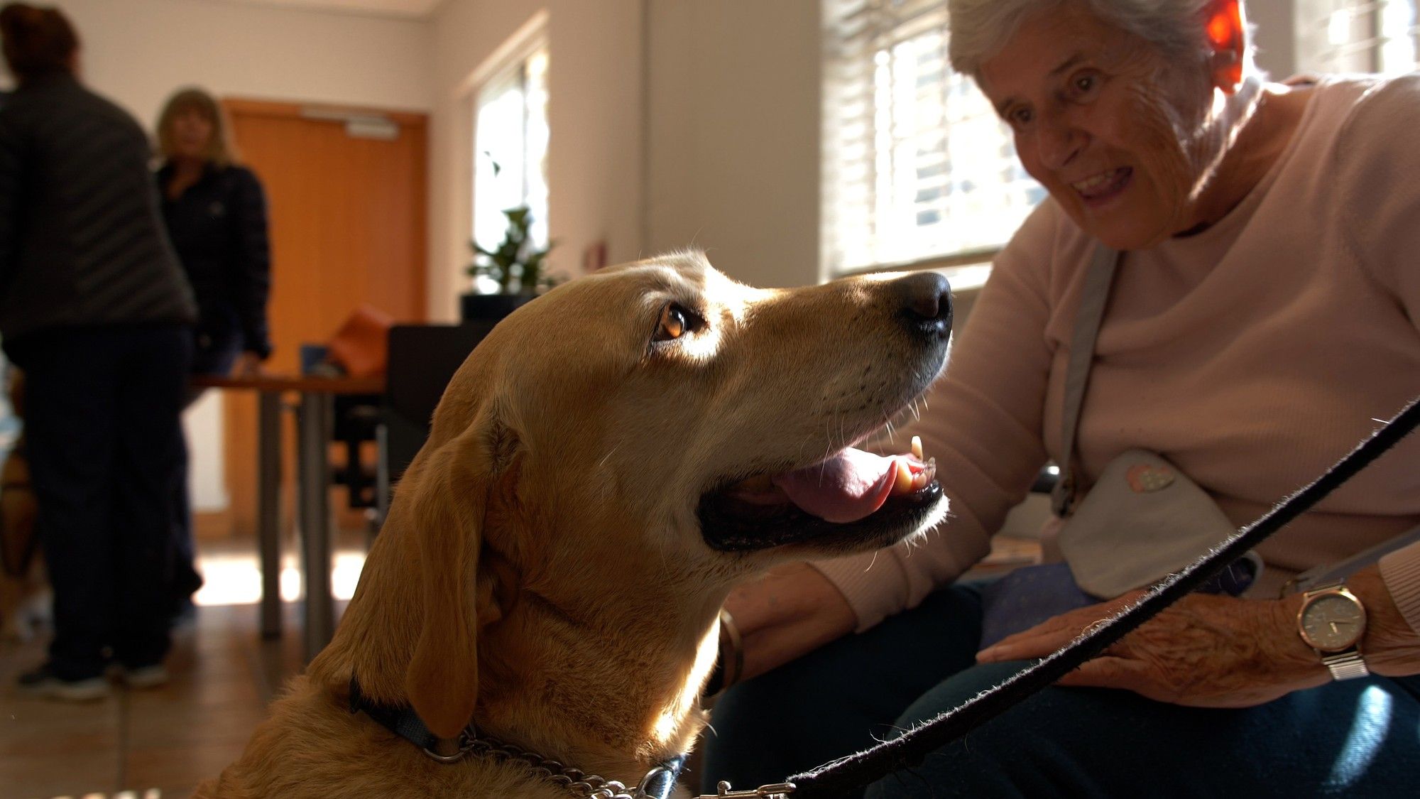 Dogs’ love brings healing to cancer patients