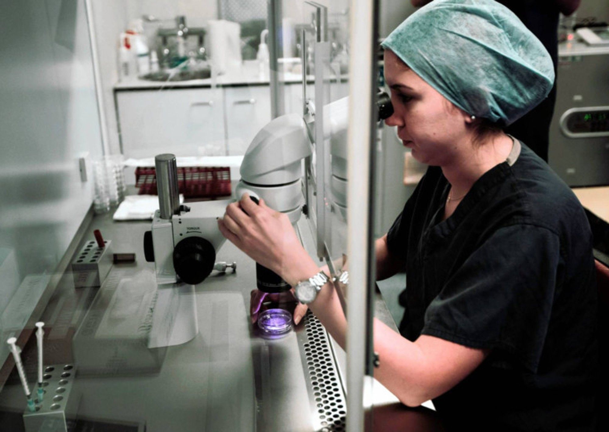 Scientists 'cut and paste' human DNA