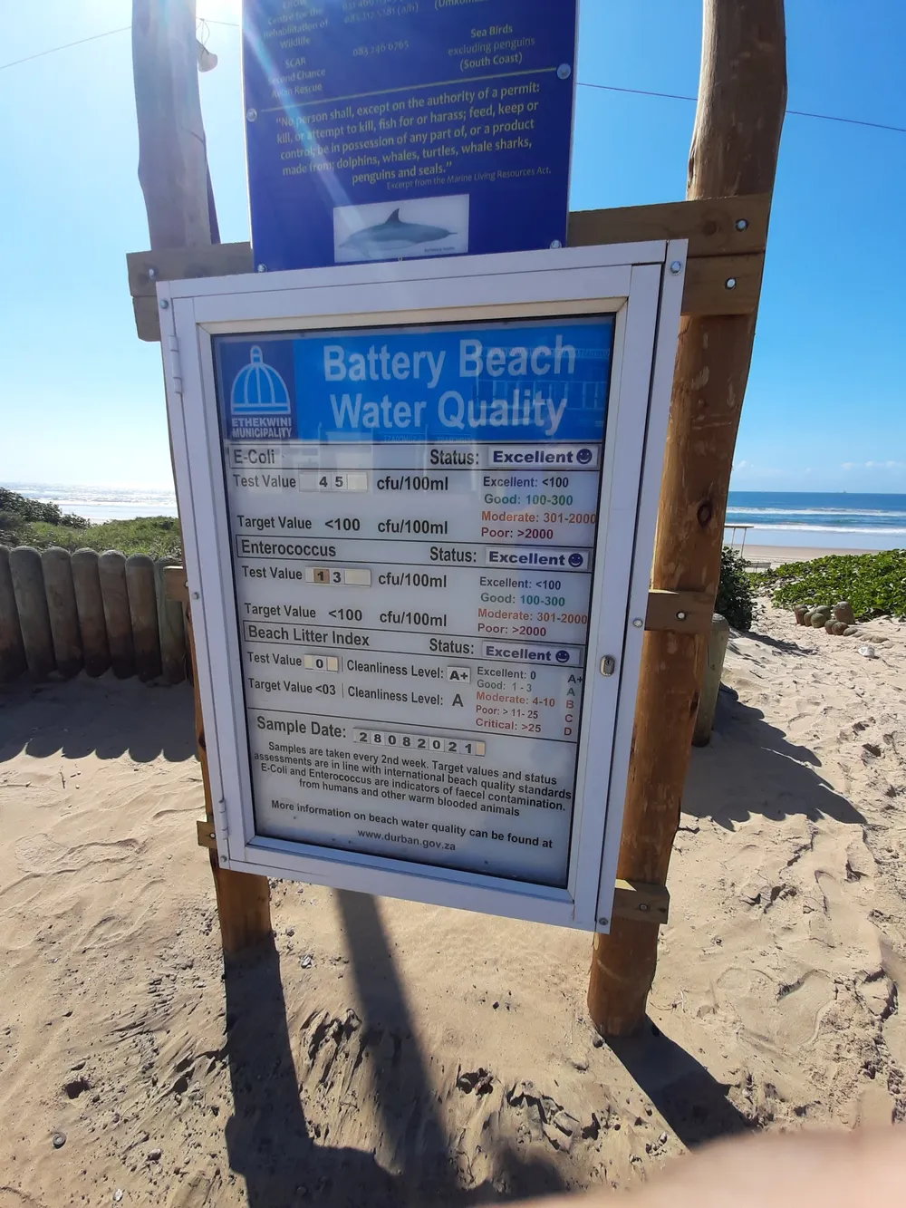 Kids get sick at the beach
