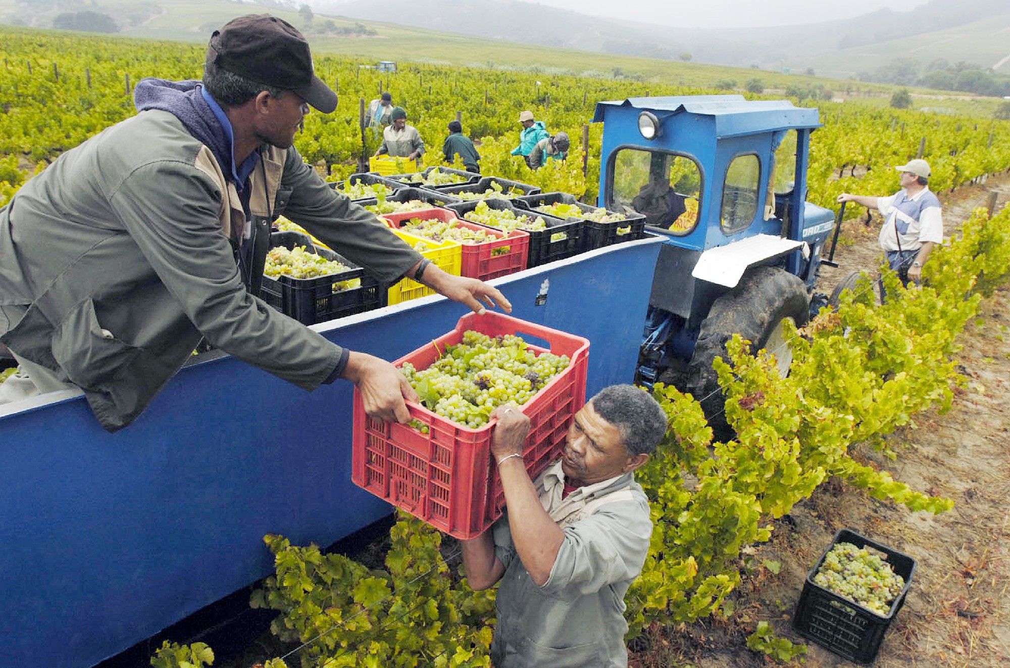 Just redraw the land map!