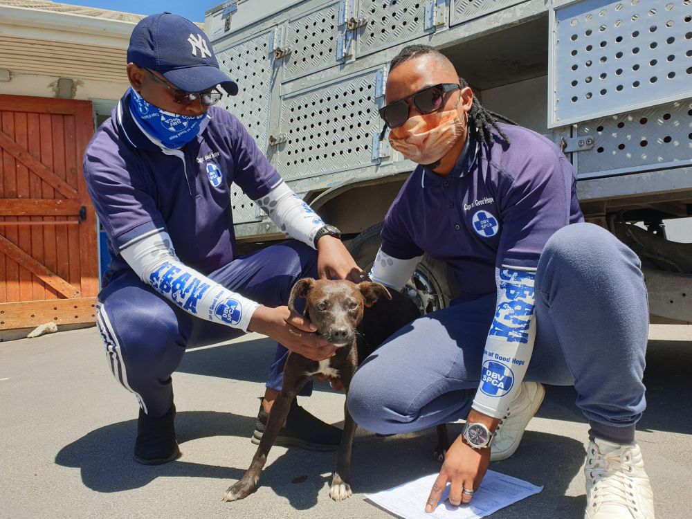 CoGH SPCA: 150 Years of caring for animals in need