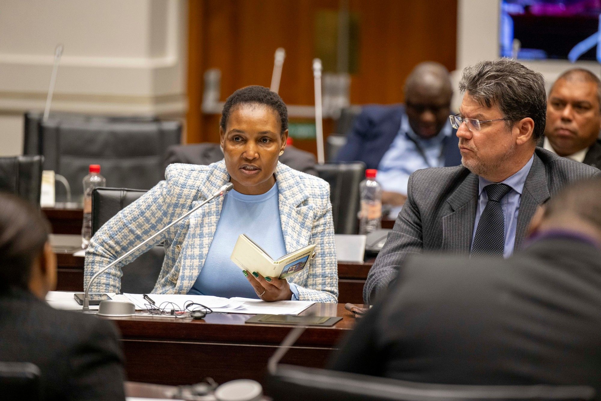 Prevent capture of justice system