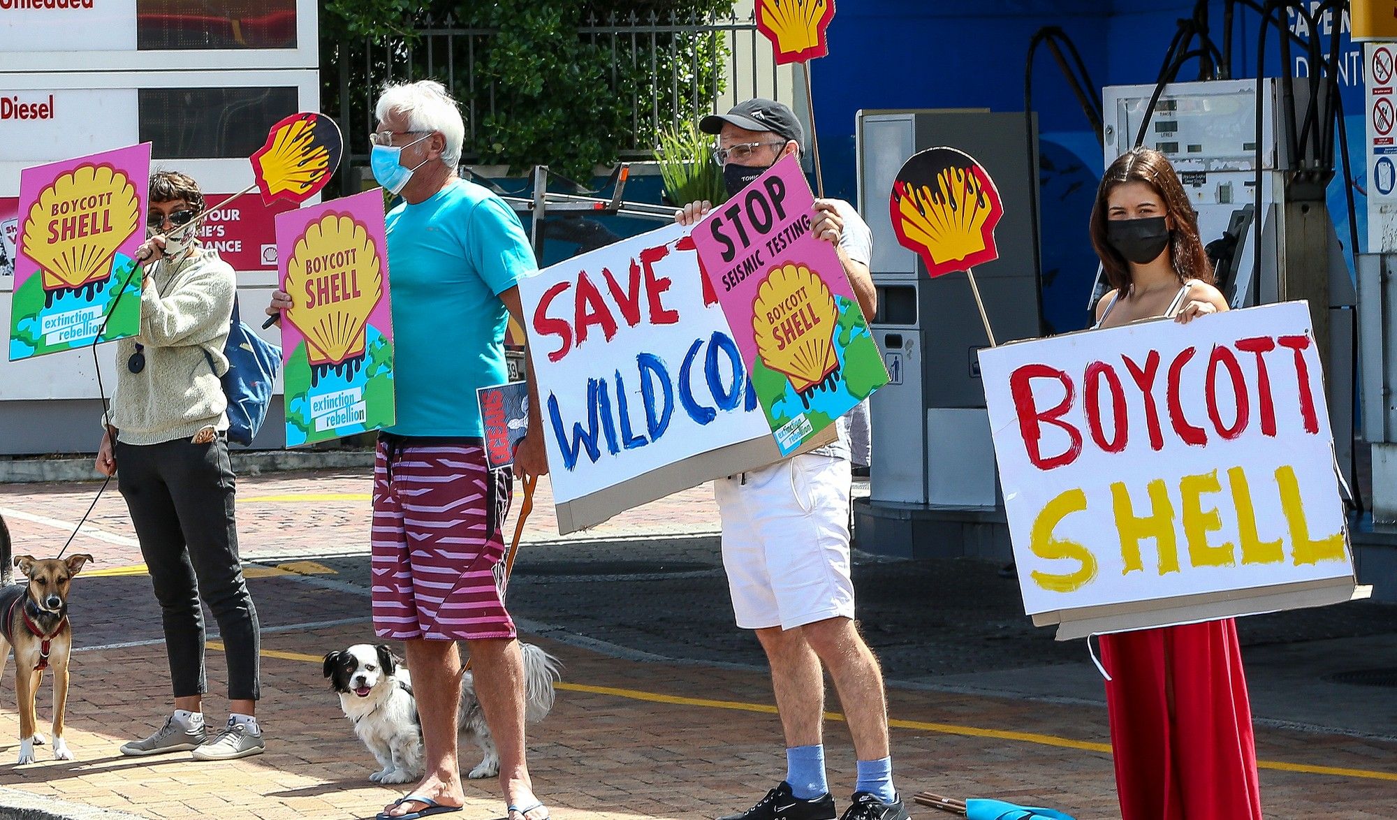 Shell’s upstream investments in SA hinge on SCA ruling over Wild Coast ...