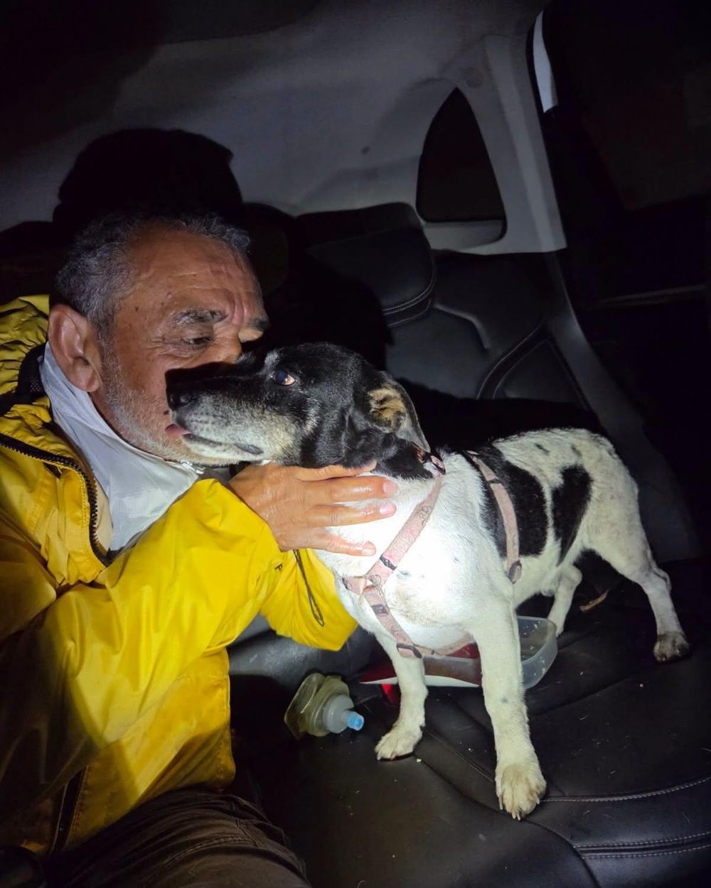 How a community united to find Pepper, the Fox Terrier, after 11 days ...