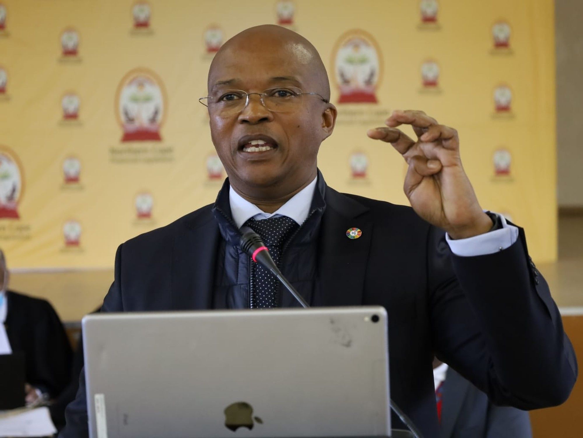 Northern Cape Health MEC Maruping Lekwene deploys fraud and corruption ...