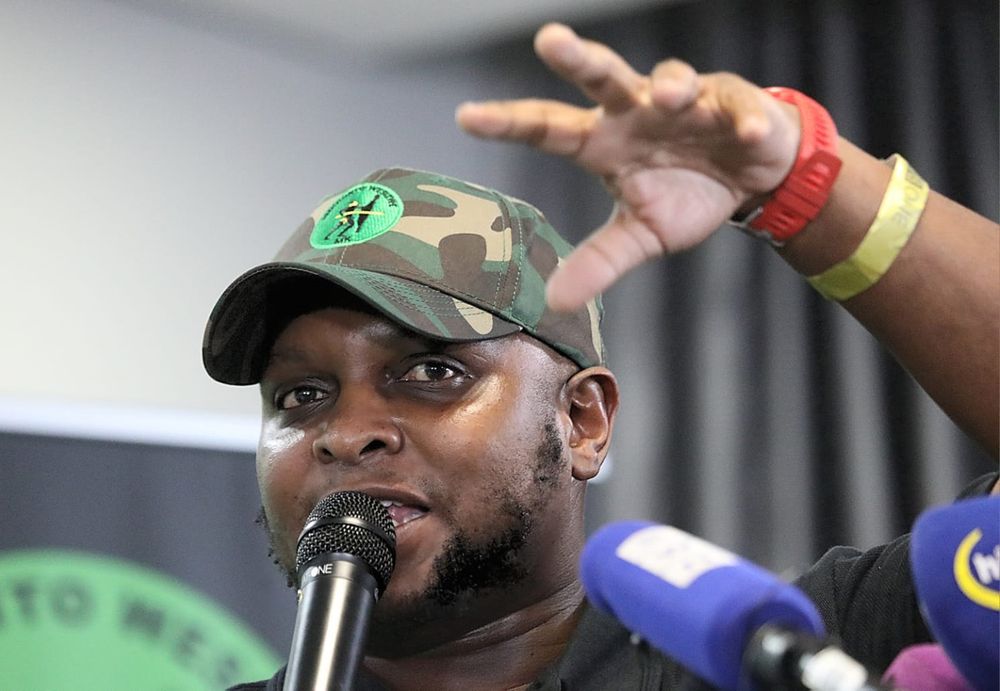 Floyd Shivambu and Duduzile Zuma-Sambudla are not going anywhere, says ...
