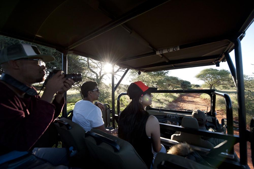 Mokala National Park unveils new vision for tourism and conservation ...