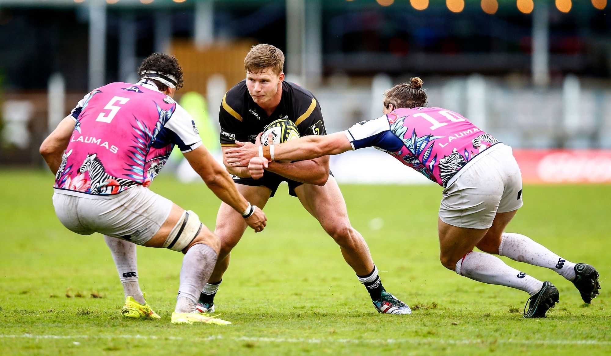 Can injury-hit Sharks put the bite into Leicester Tigers?