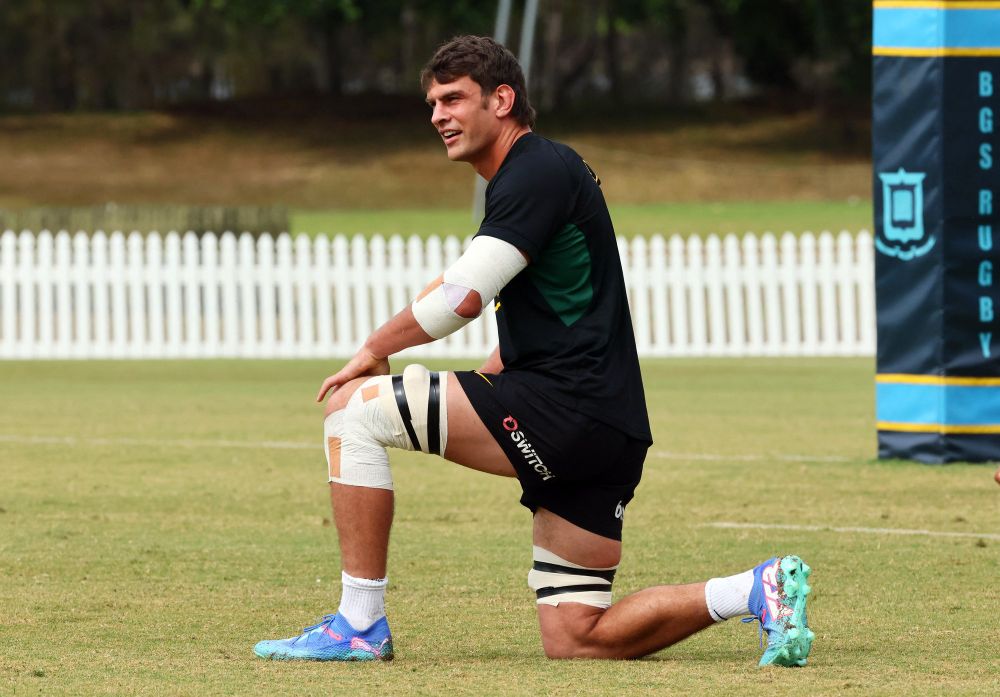 Springboks’ Ben-Jason Dixon needs to fill Pieter-Steph du Toit’s big ...