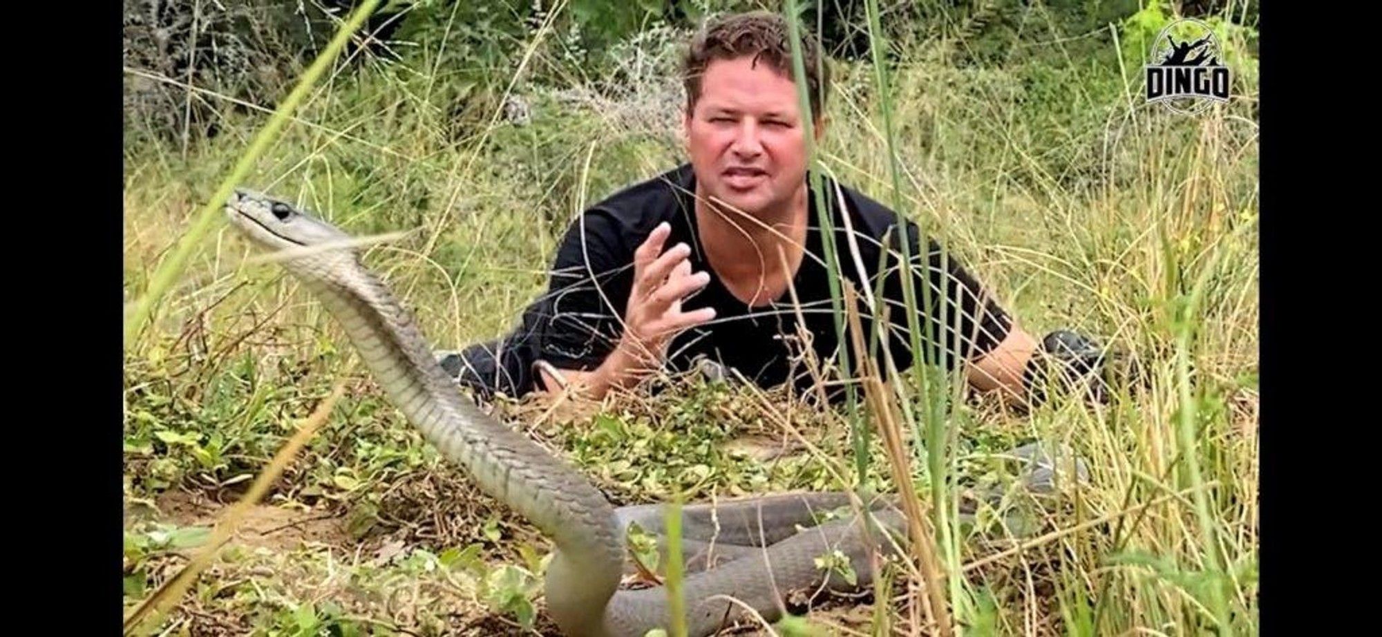 WATCH: KZN snake catcher Dingo Dinkelman shares what it’s like to ...