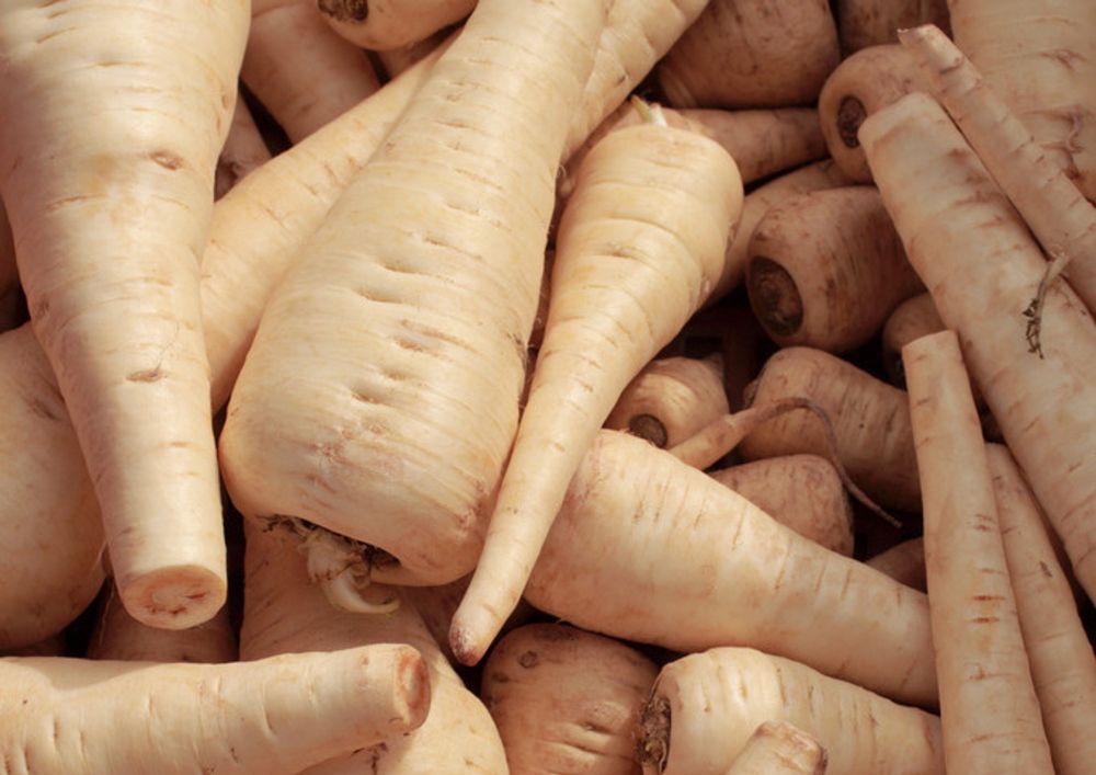 Let’s go dig up some tomatoes...