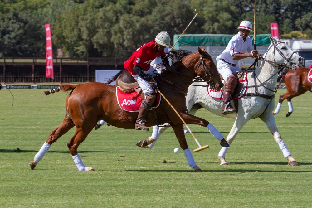 Everything you need to know about the most anticipated Polo game