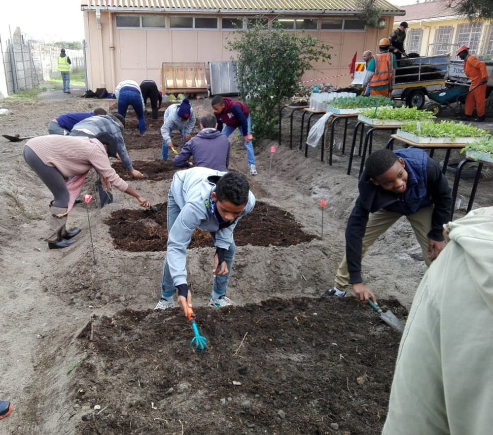 School veggie patch keeps learners fed