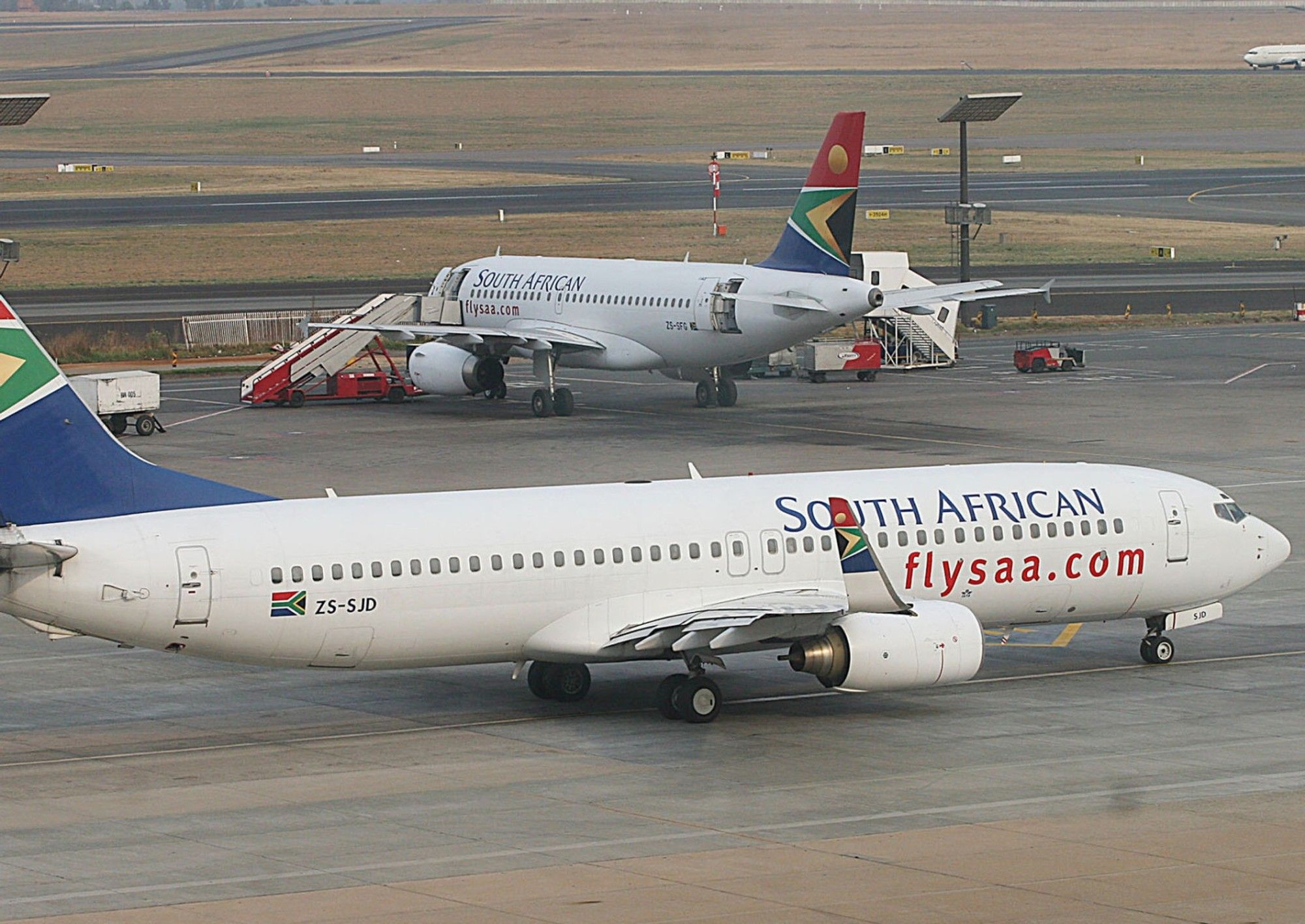 Stray dogs on runway a threat to flights