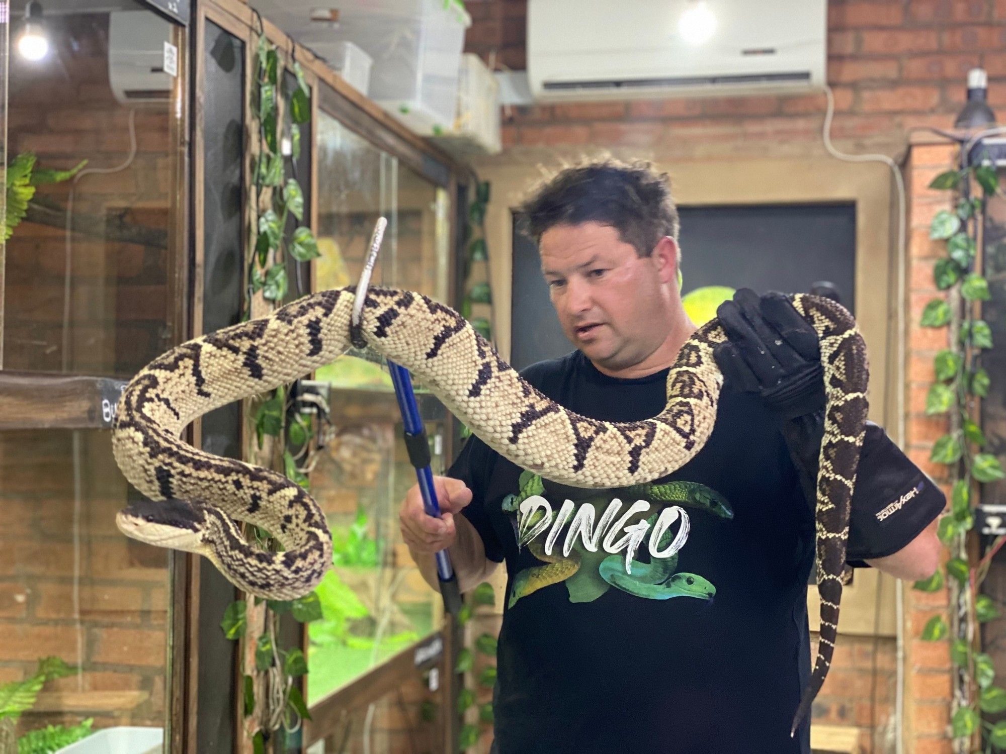 Tributes pour in for KZN conservationist after venomous snake bite allergy