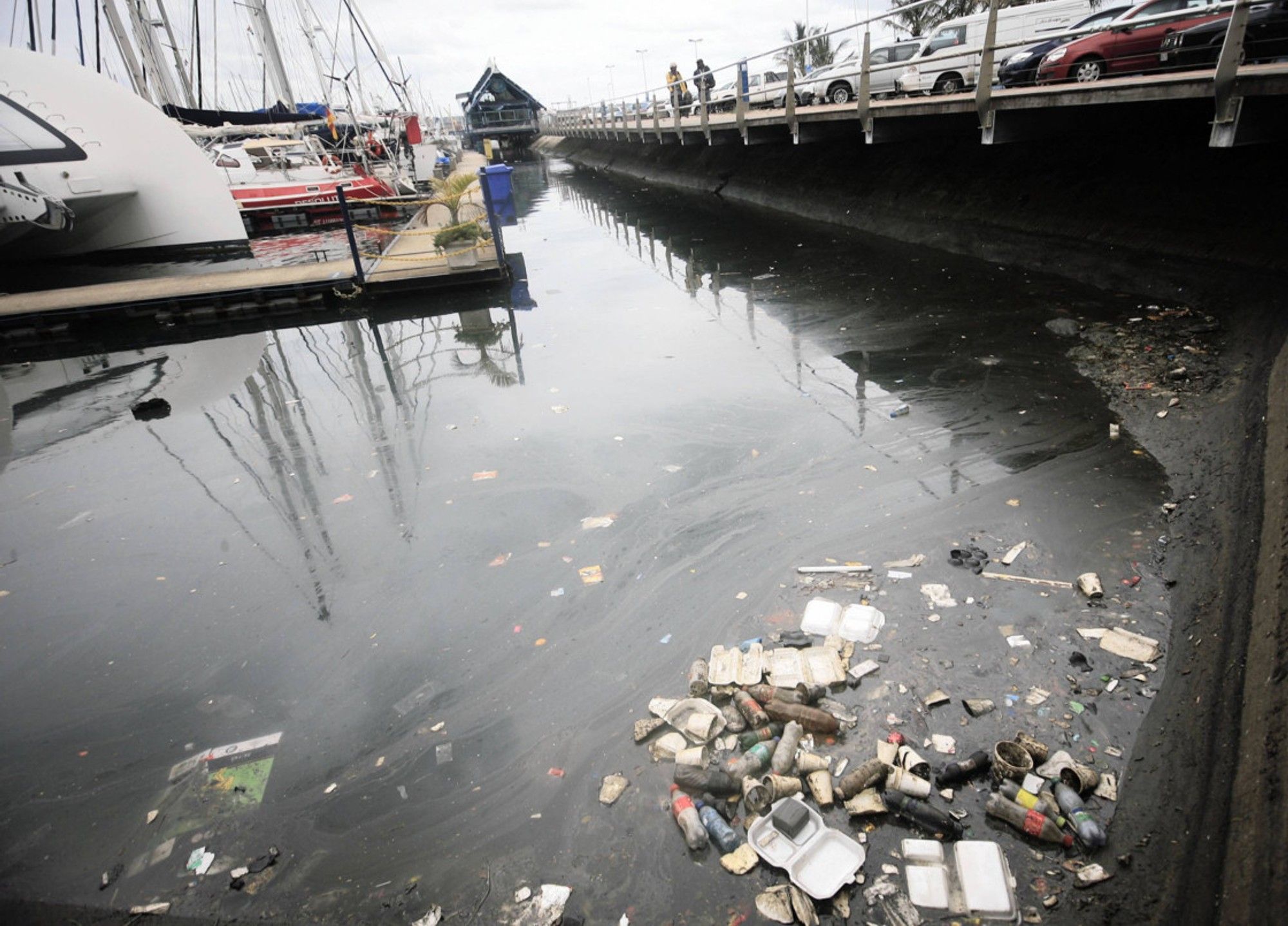 Plan to clean up, restore Durban Bay