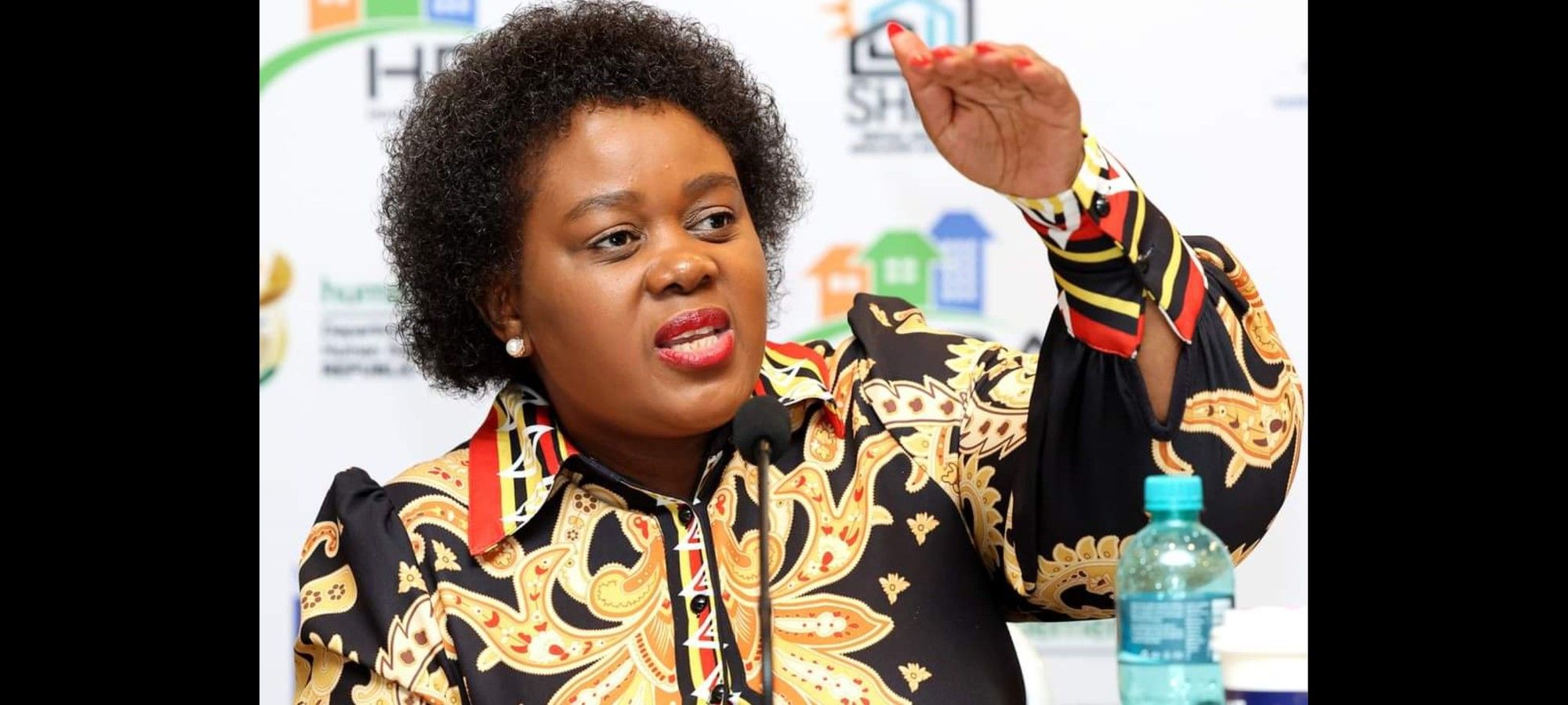 Minister Kubayi reveals alarming shortage of court interpreters across ...