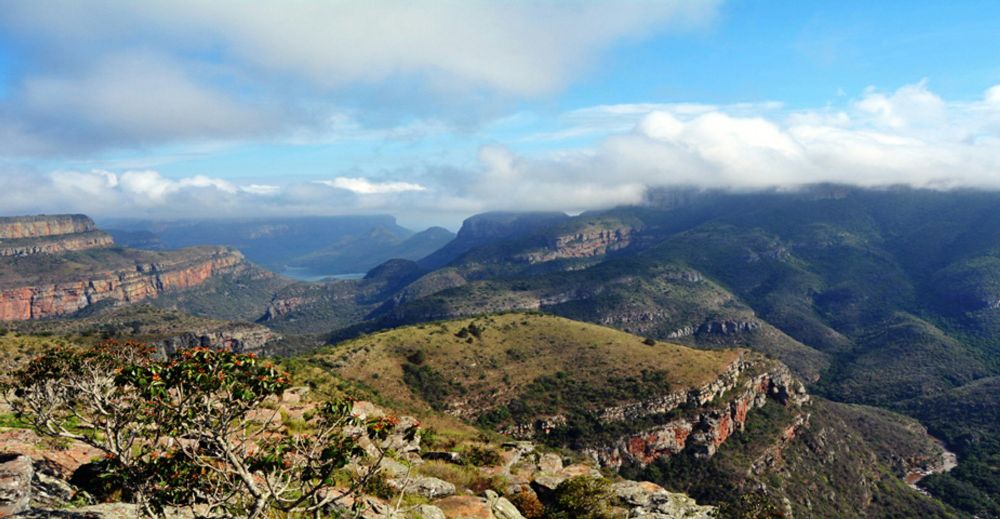 6 scenic SA drives you should try