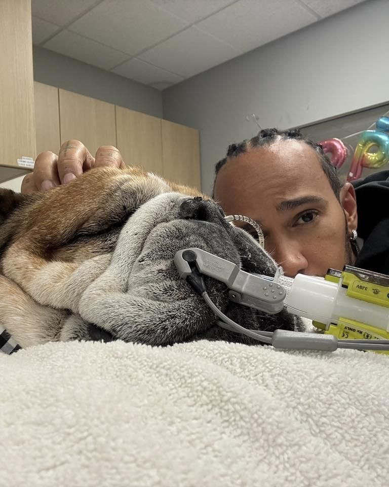 Sir Lewis Hamilton's dog Roscoe has passed away