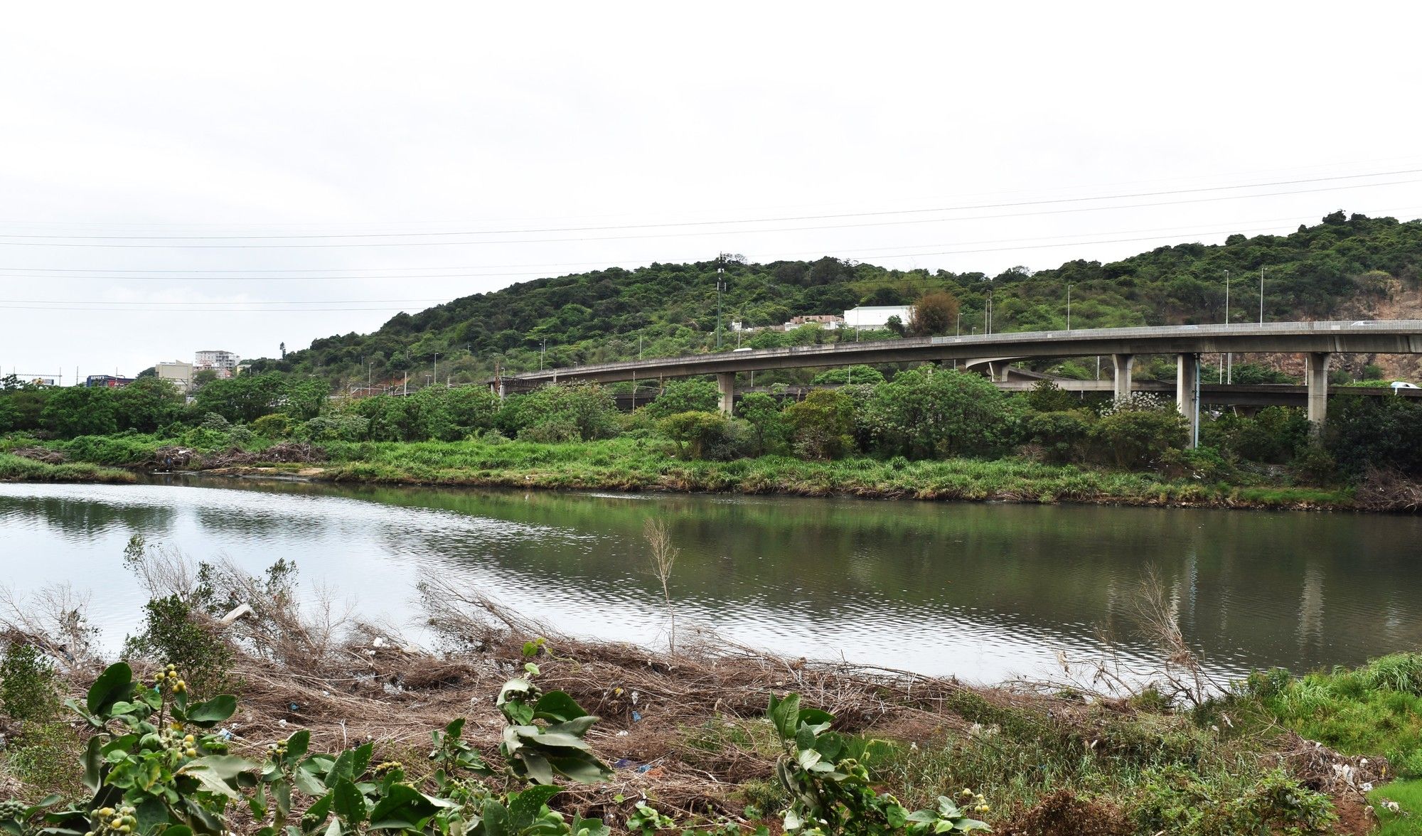 E. coli in eThekwini: What is it and where does it come from before ...