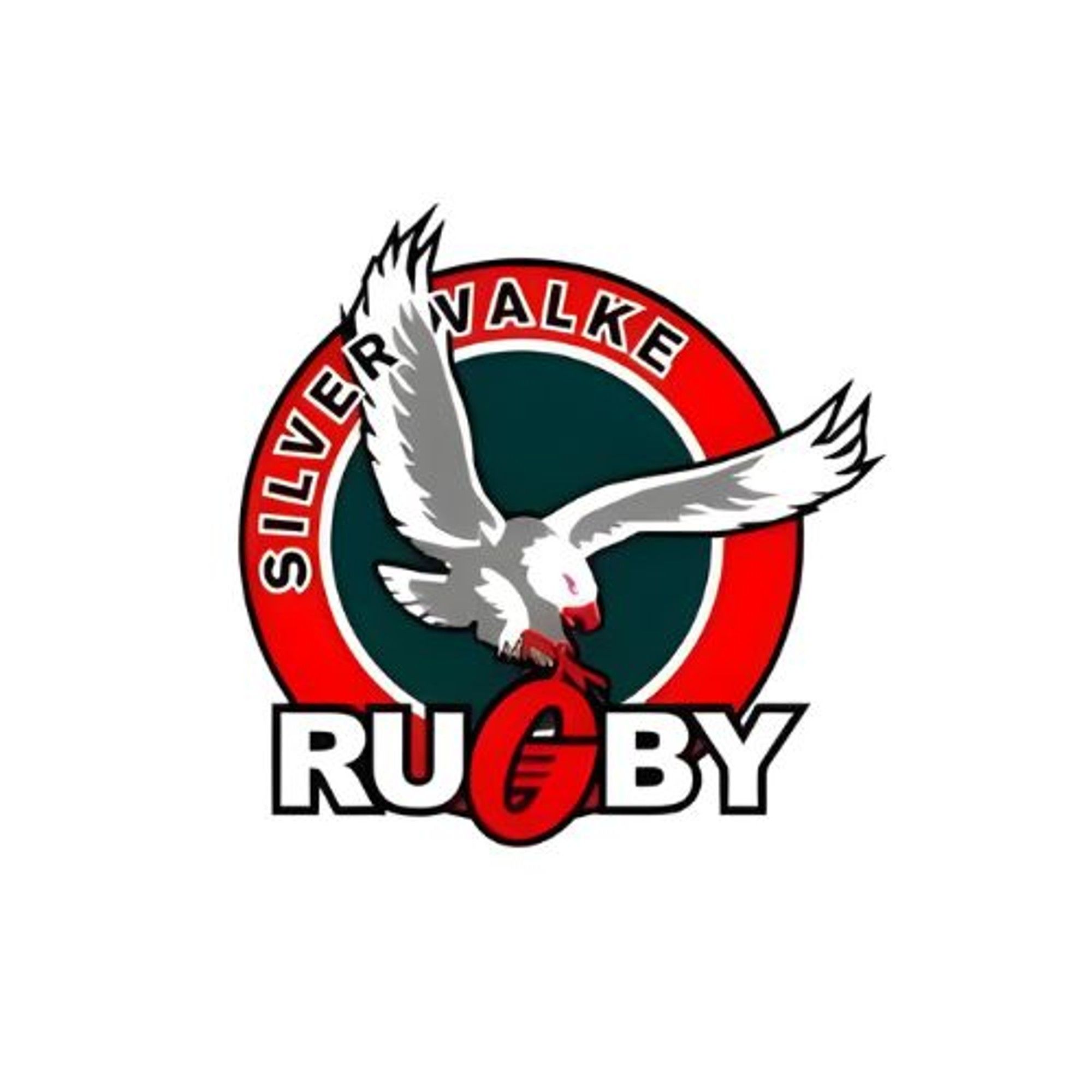 Controversy erupts as Silver Valke Rugby Club faces eviction in Tshwane