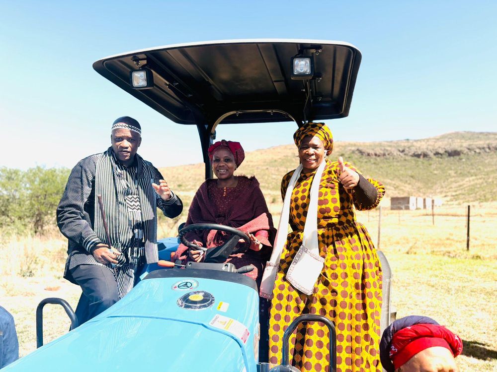 Isebe lezolimo linikezele ngogandaganda nethokazi lenkomo kuKumkanikazi ...
