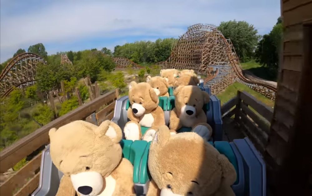 WATCH: 22 teddy bears go on ‘Untamed’ rollercoaster adventure
