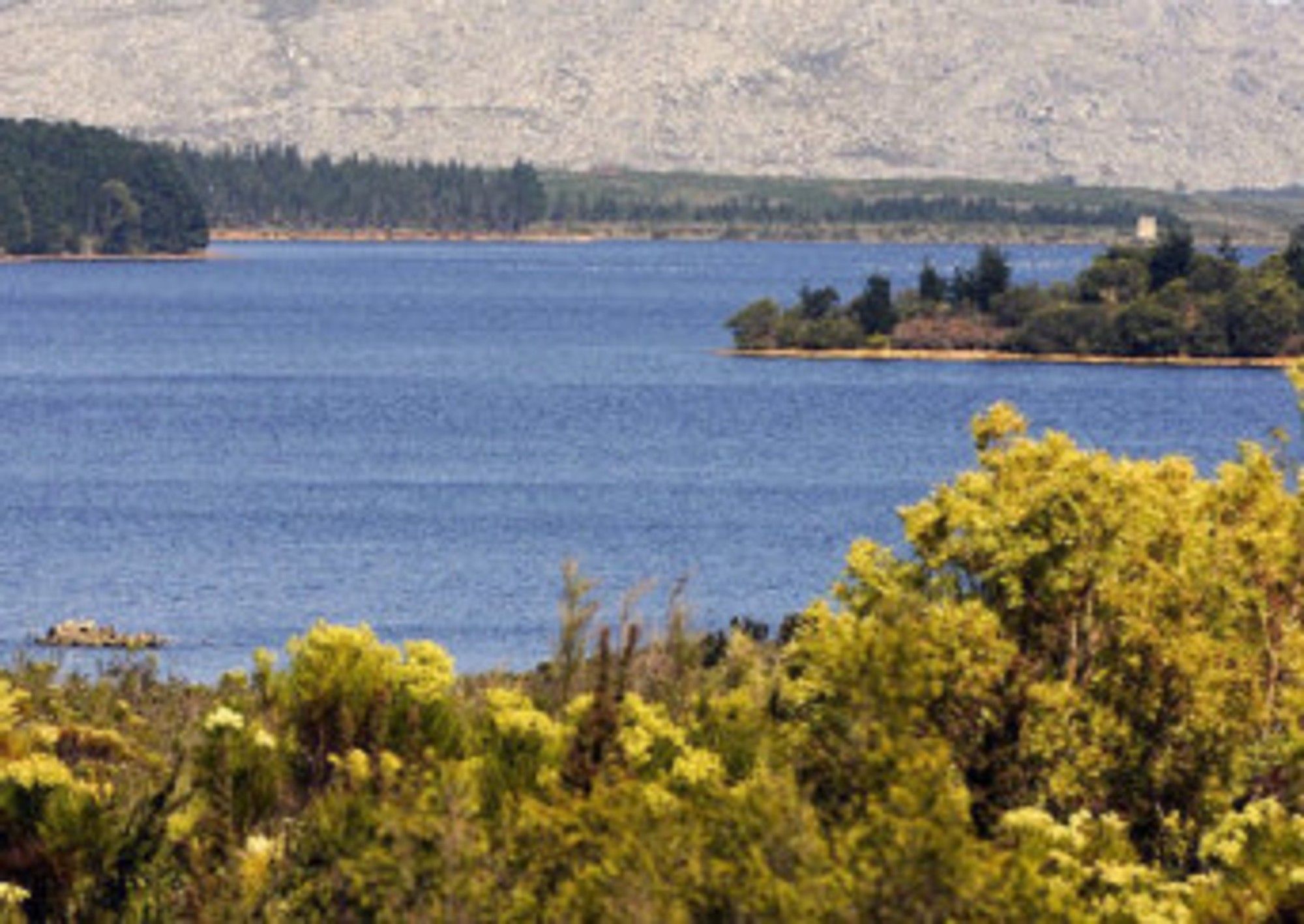 Water warning for Cape