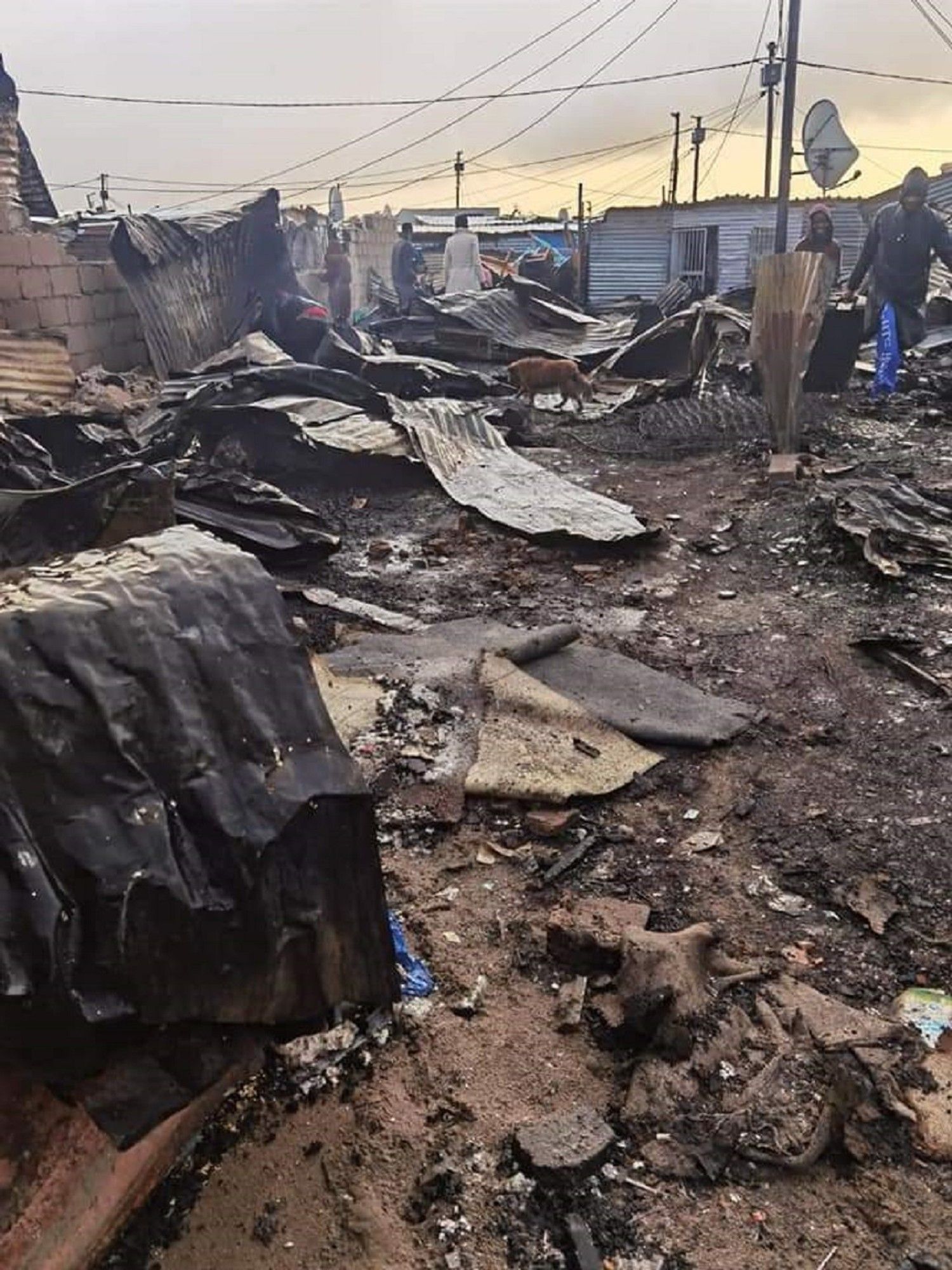 Jim se Bos fire leaves hundreds homeless
