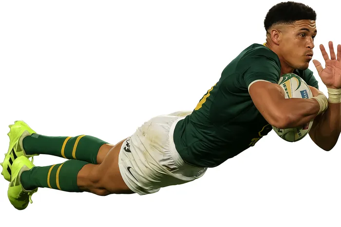 Trending: The Springboks have them raving