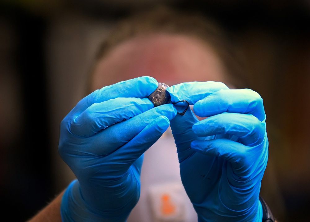 Time capsules are more popular than ever, as Americans take history ...