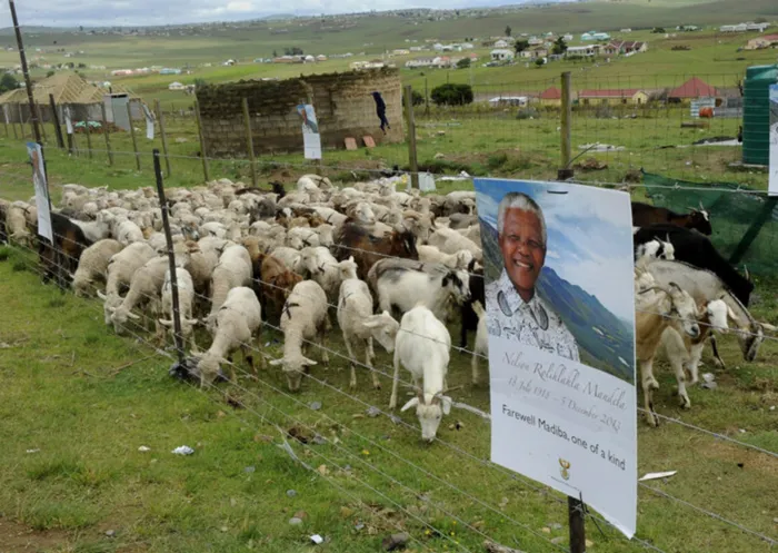 Qunu water supply restored