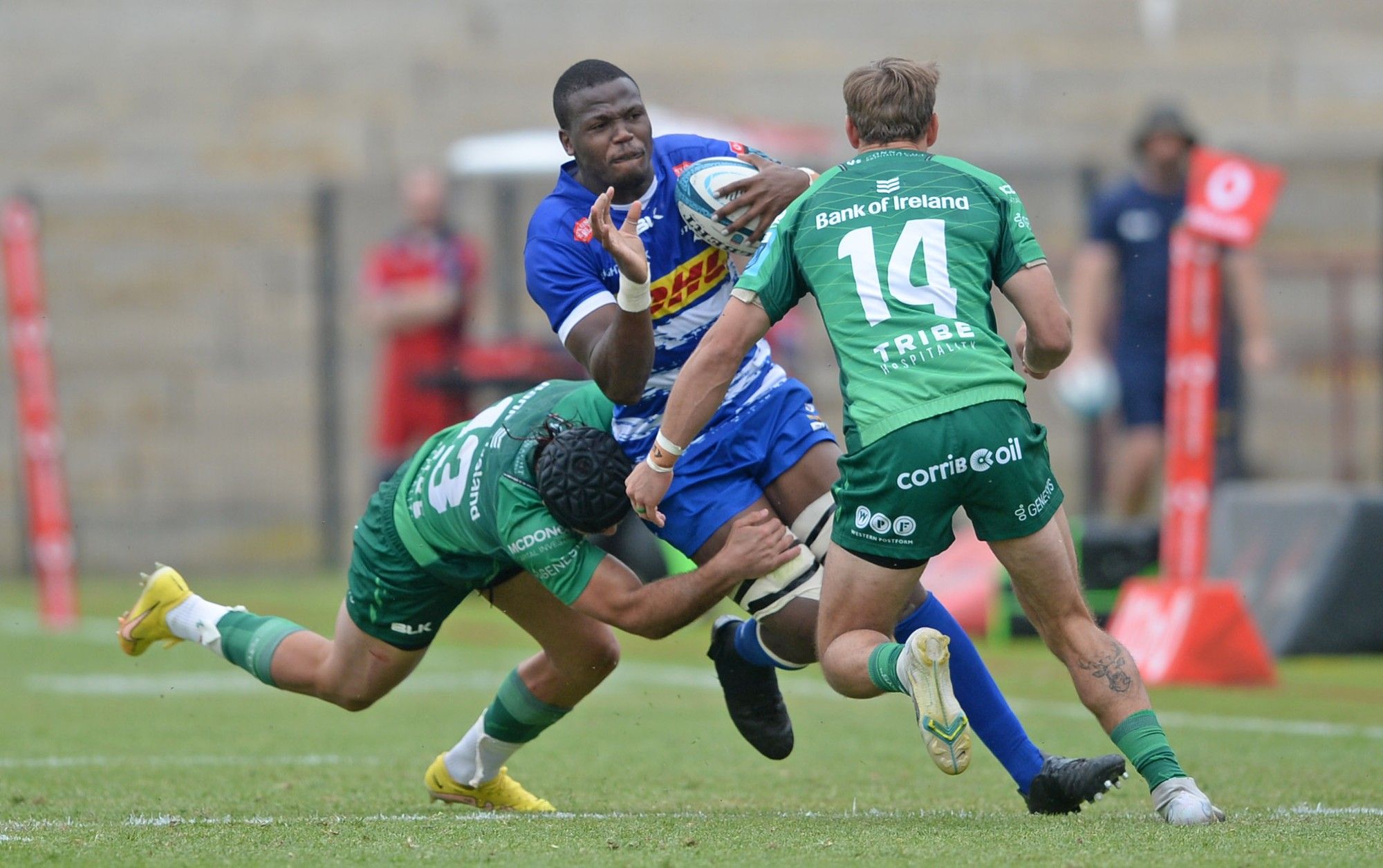 [WATCH] Seventh heaven: Stormers’ Dayimani at home on the blindside flank