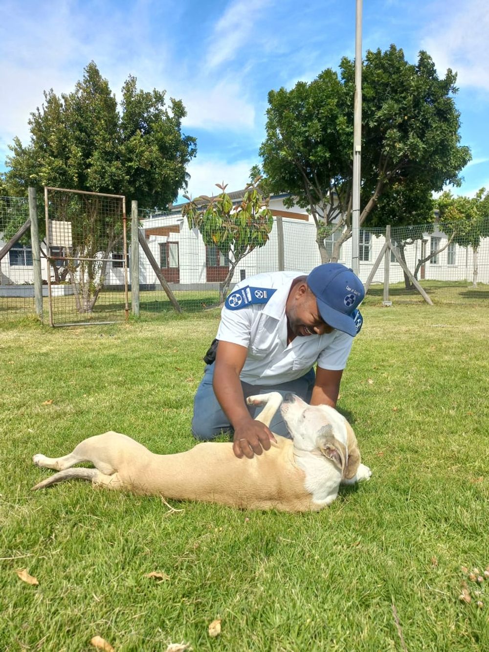 SPCA appeals for dog food following influx of surrendered dogs amid ...