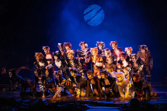 Joburg theatre heats up in 2026 with 'CATS' and a powerful Amy ...