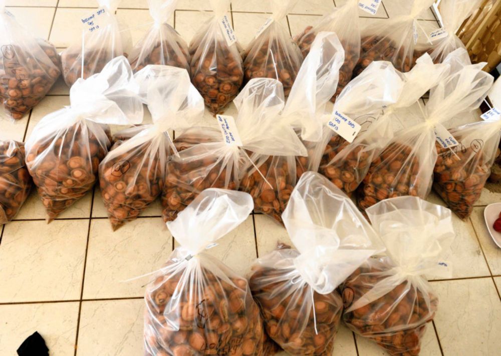 Five bust with R1.5m perlemoen