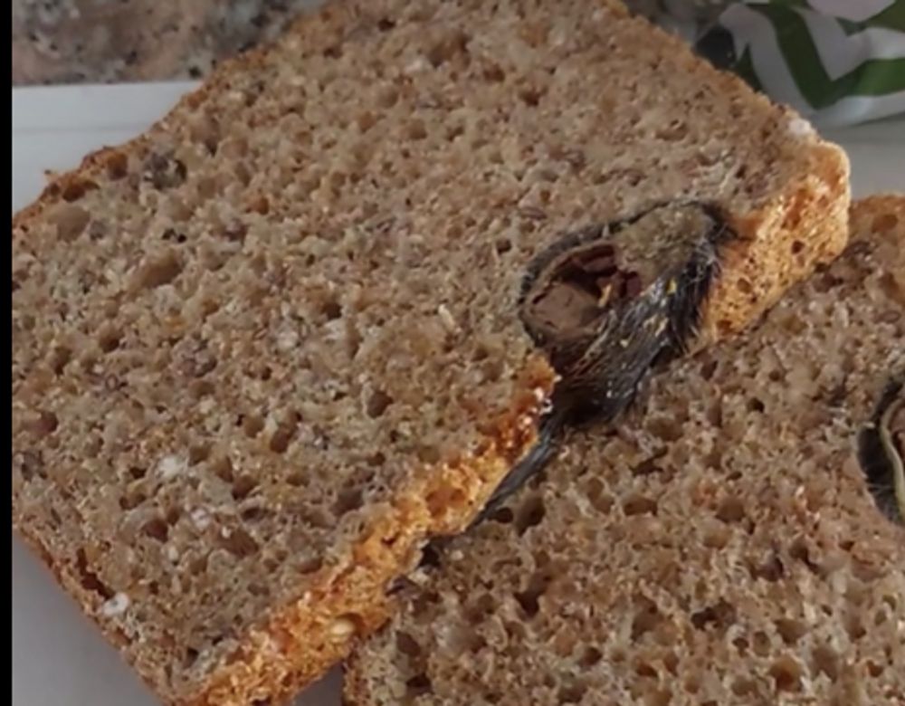 Sasko denies recall after Durban woman finds rat in bread