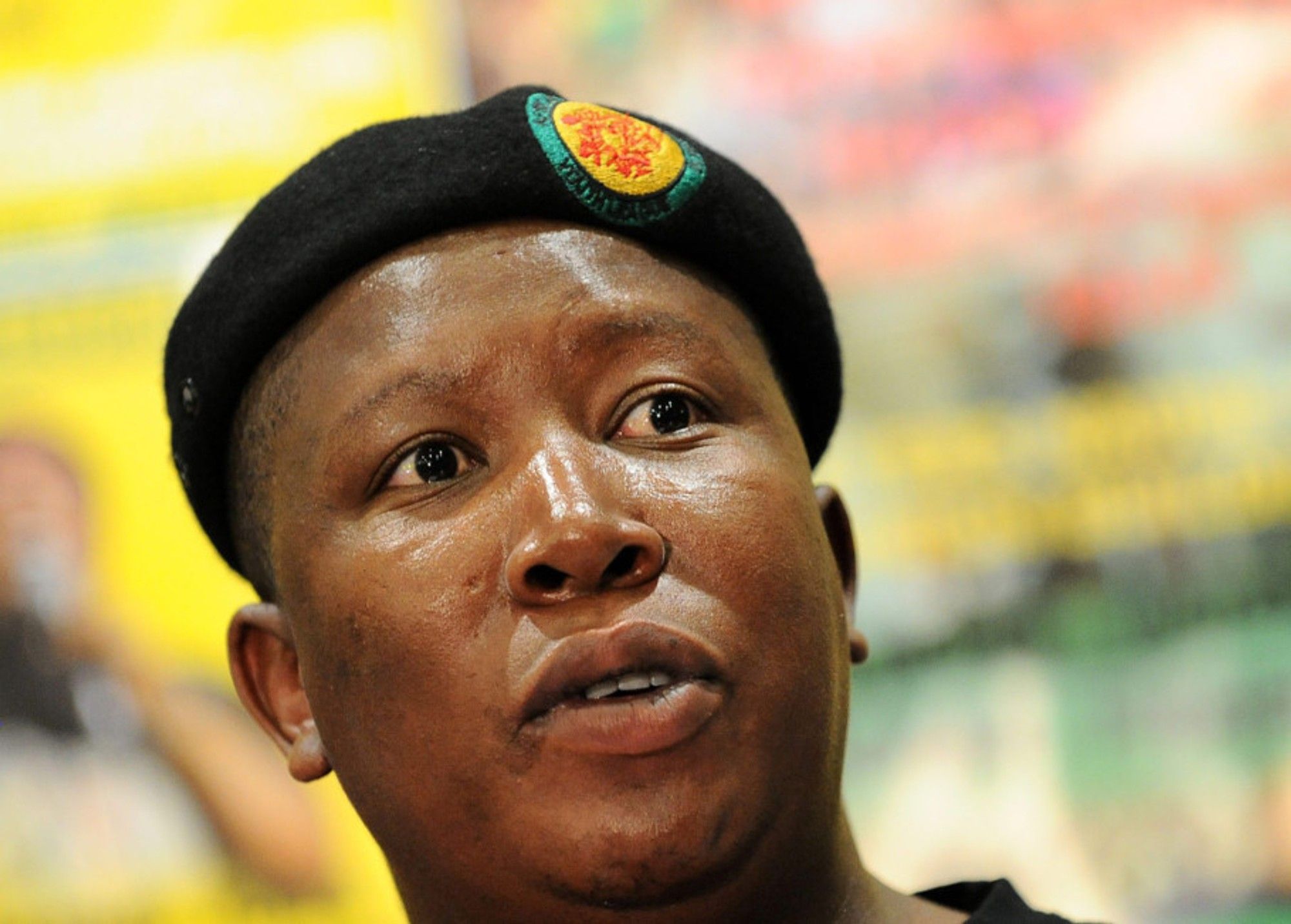 Malema expelled from ANC