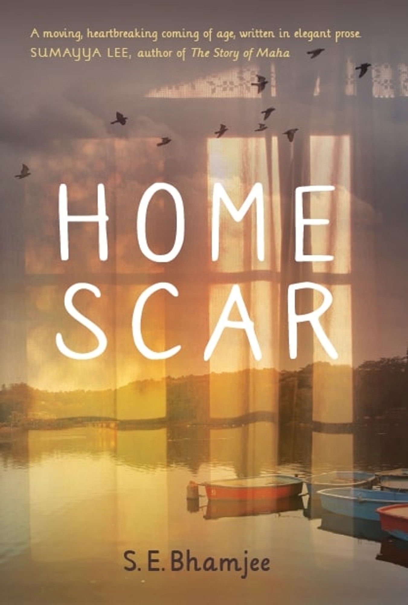 Book review: Home Scar