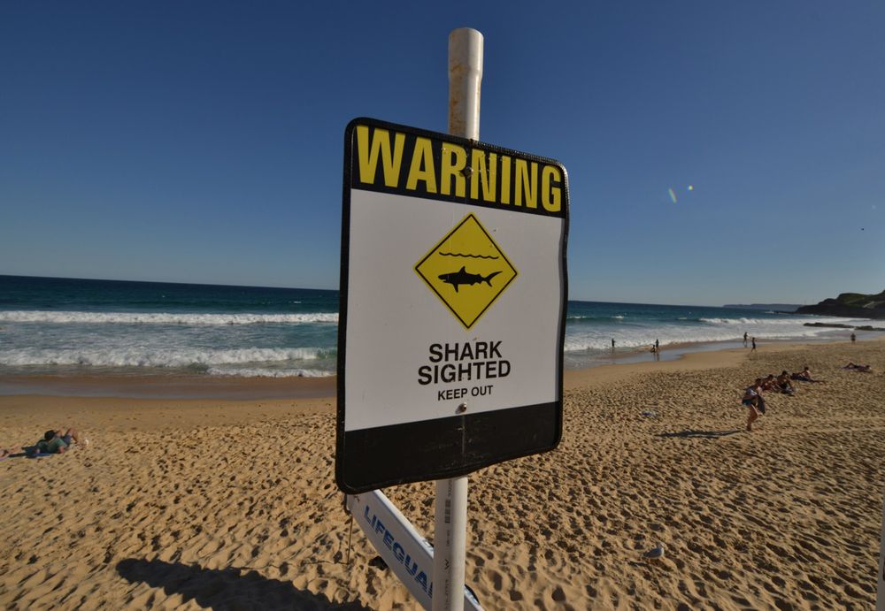 ‘I’m lucky not to lose arm to shark’