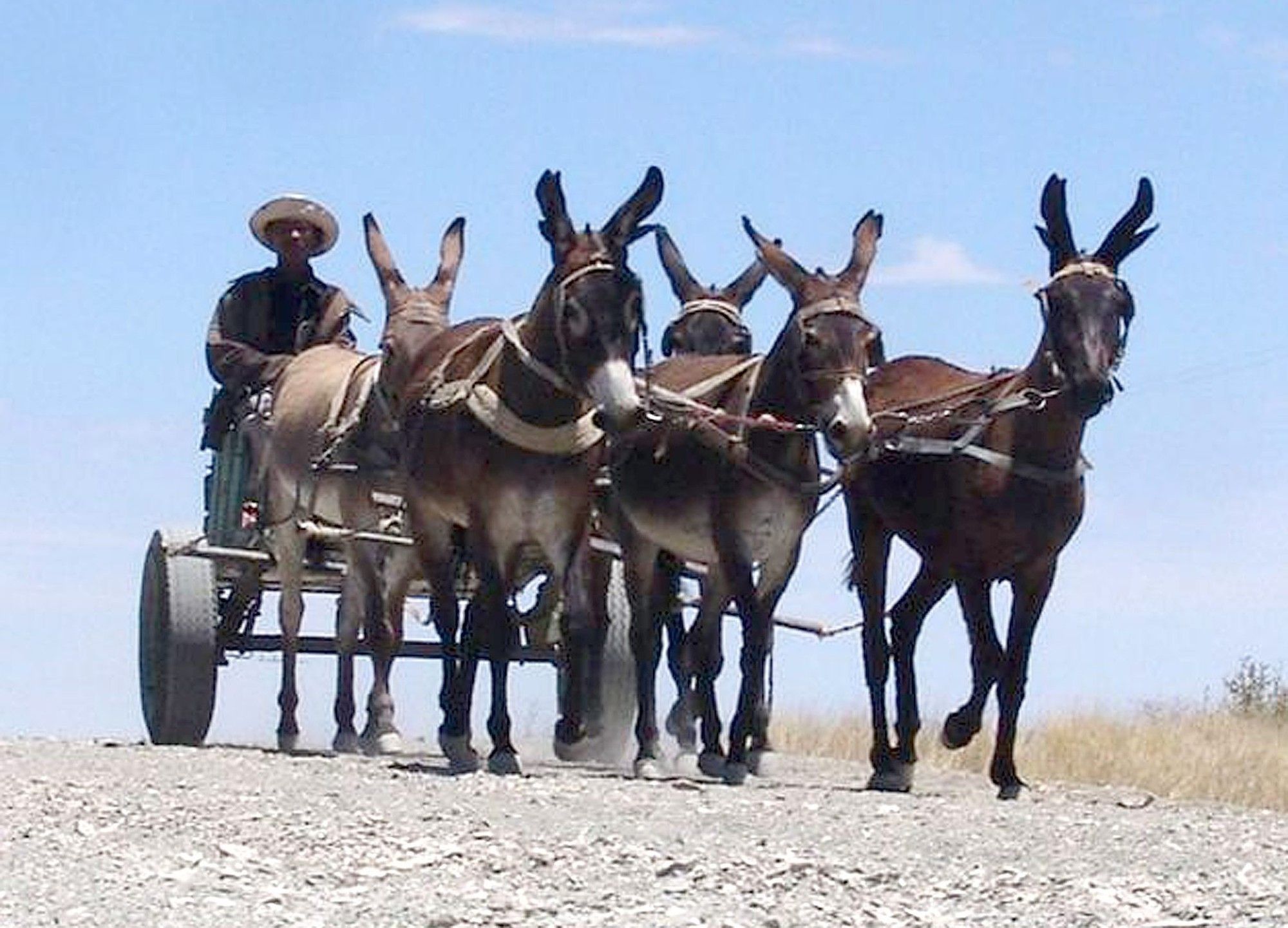 Donkey carts and bicycles are the preferred mode of transport