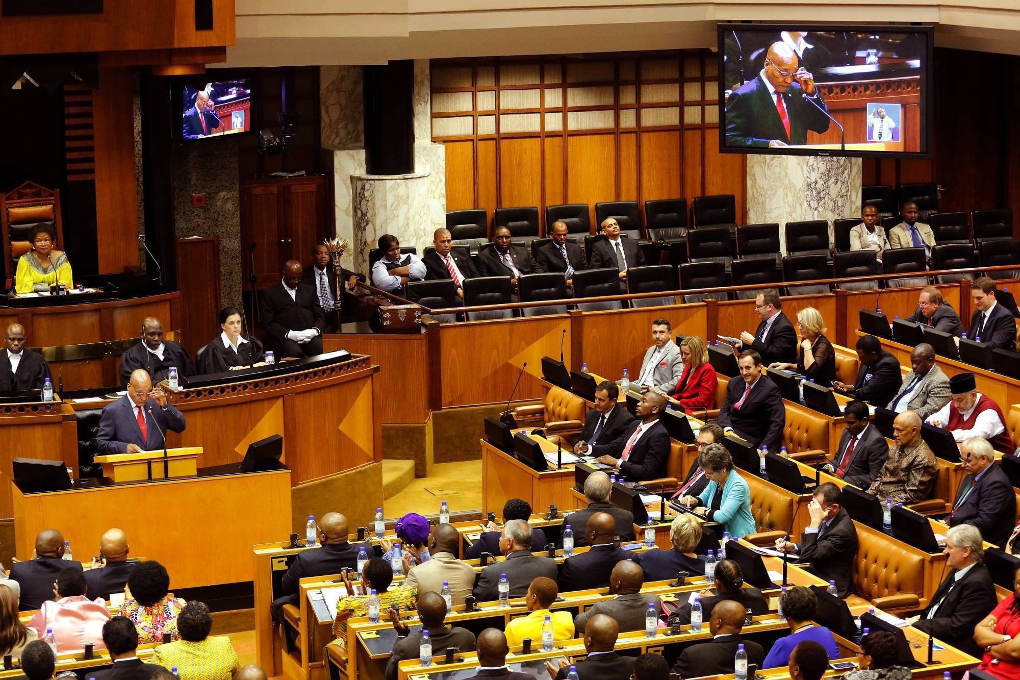 Rookie parties Bosa, RISE Mzansi, ActionSA and PA score parliamentary seats