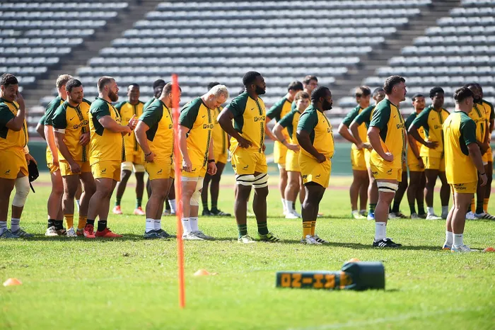 Rassie Erasmus pleased with foundation laid as Springboks wrap up first ...