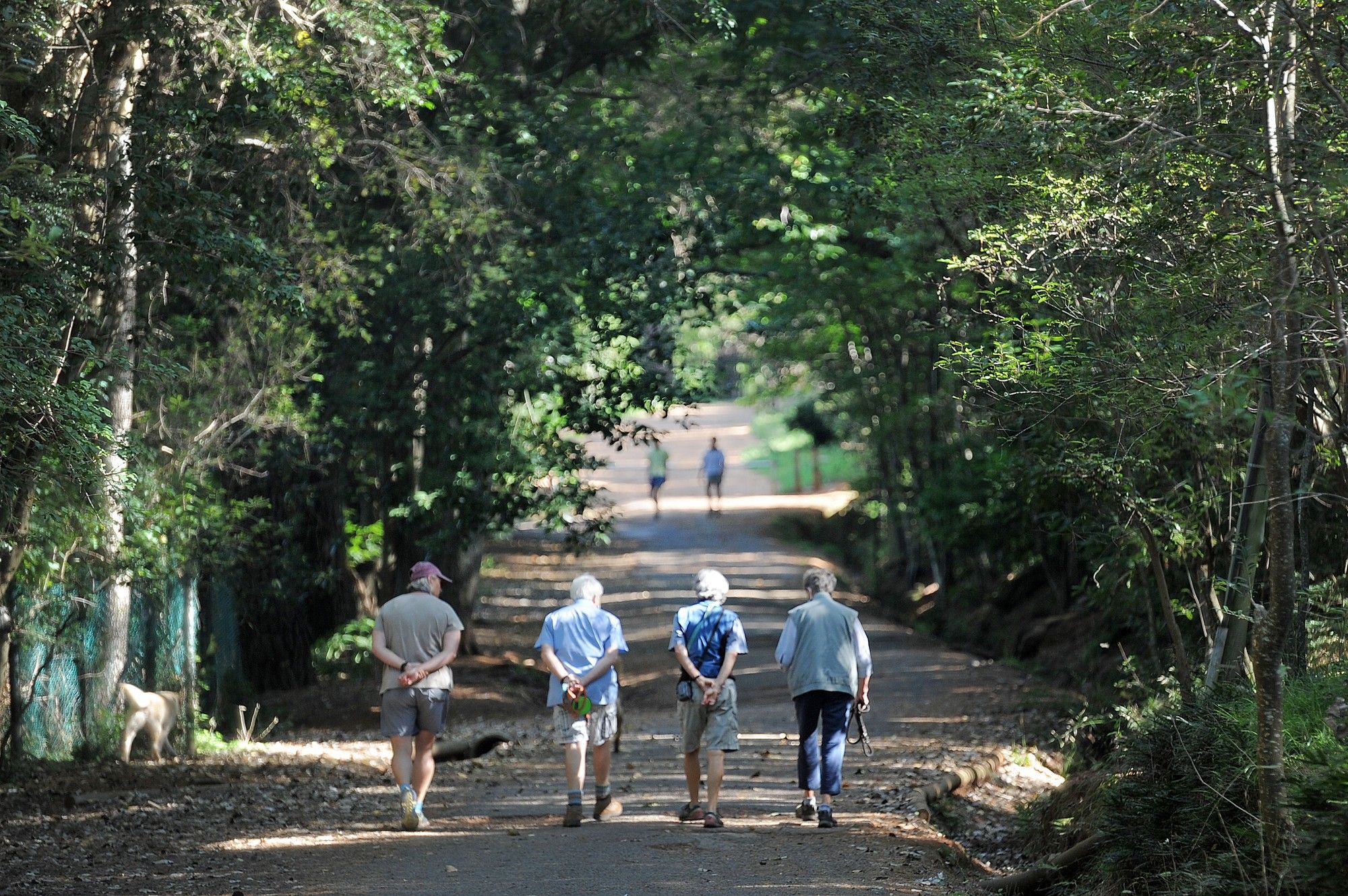 We, humans, are an interesting species