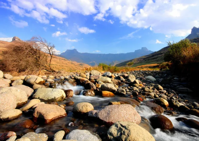 Wildlife conservation facing arguably the most serious challenge in ...