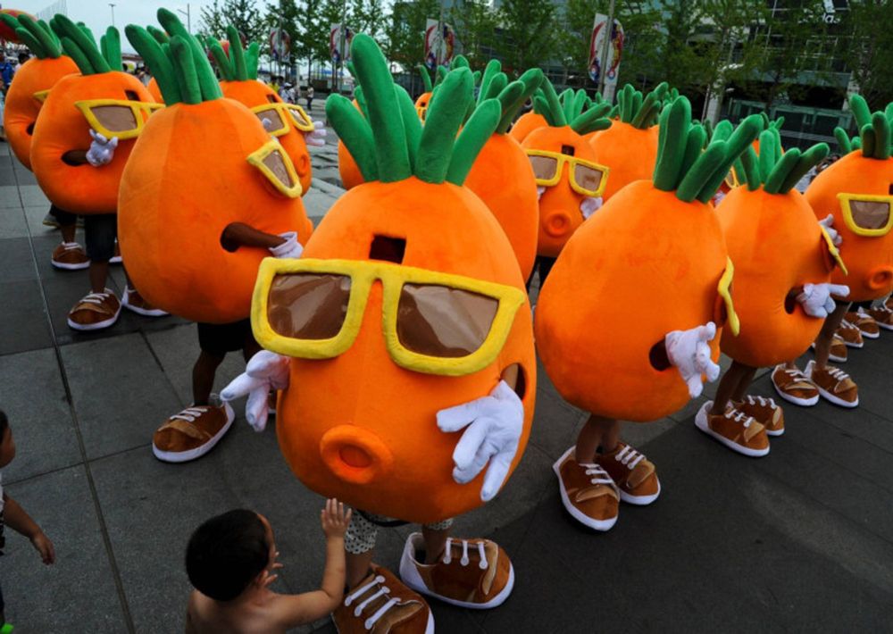 Video: Carrot proposal